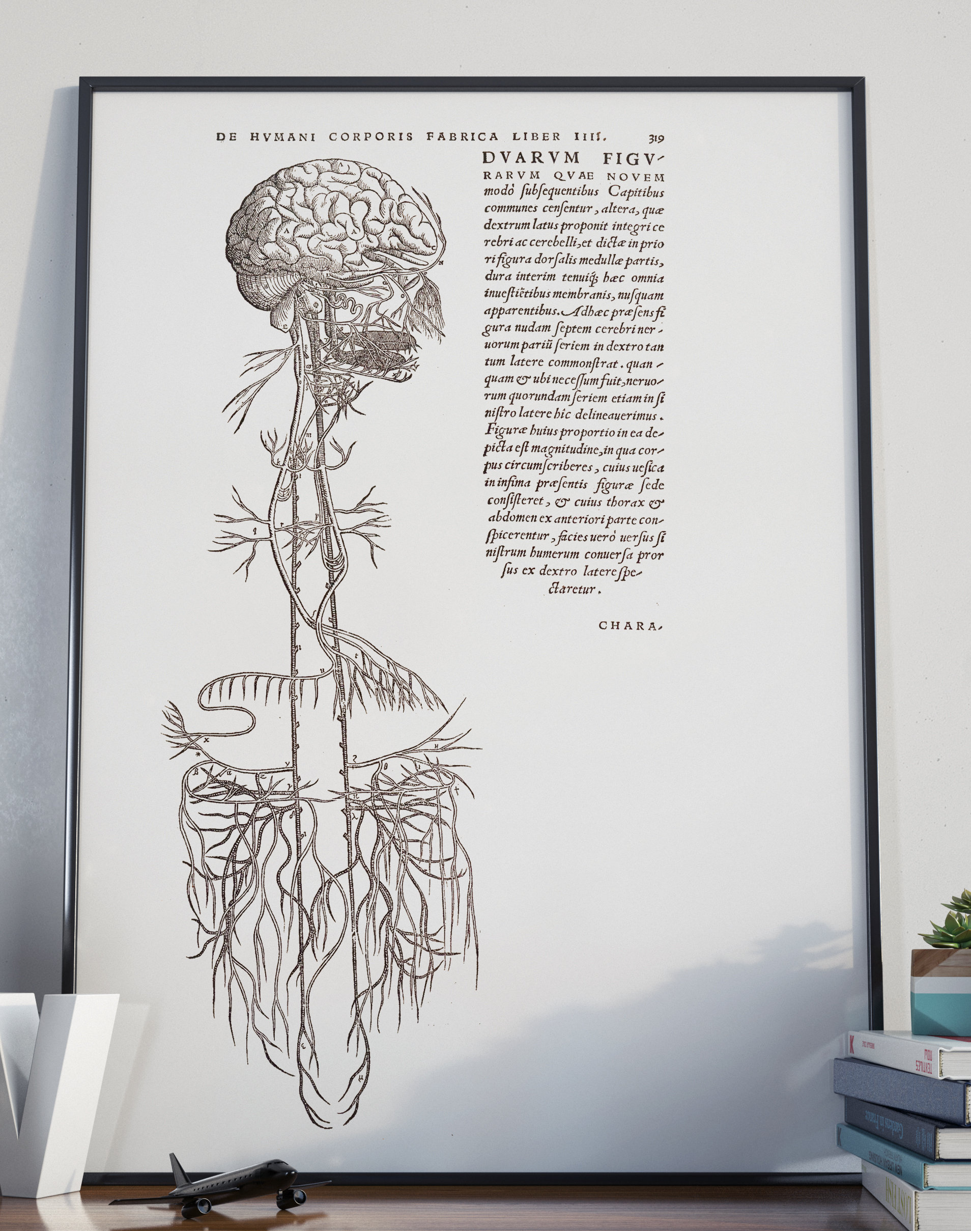 Vesalius Brain & Nervous System Art Print - 'de Humani Corporis Fabrica ...