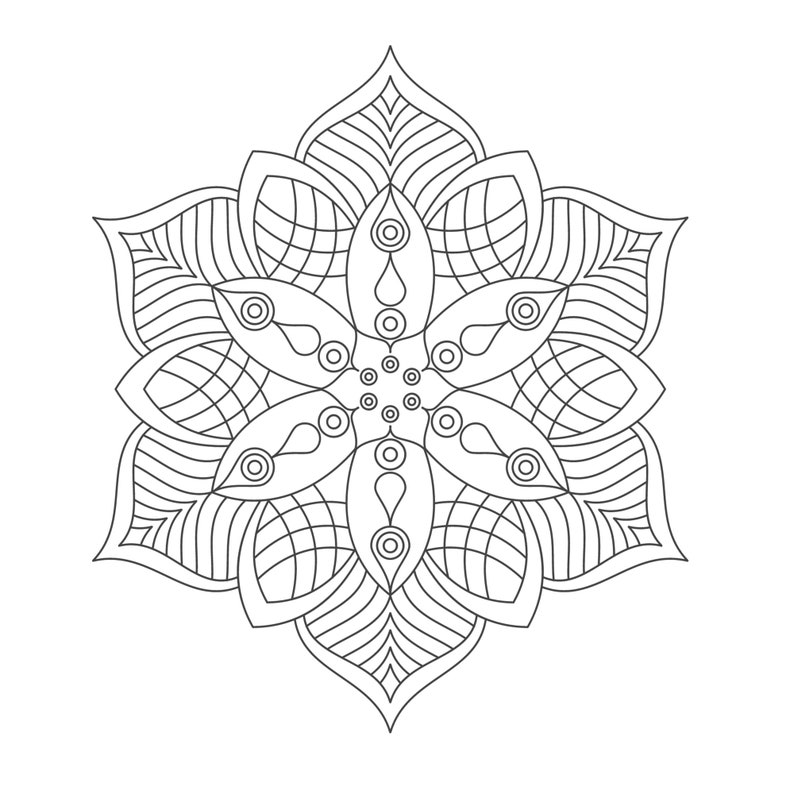 Floral Mandela Coloring Pages Starter Bundle Version 1 - Etsy