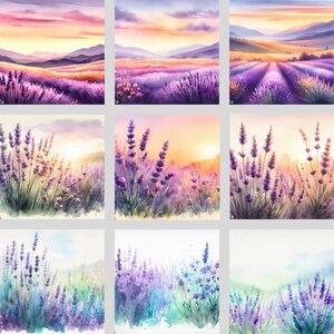 Watercolor Levender Digital Art Clipart Bundle of 10+transparent ...