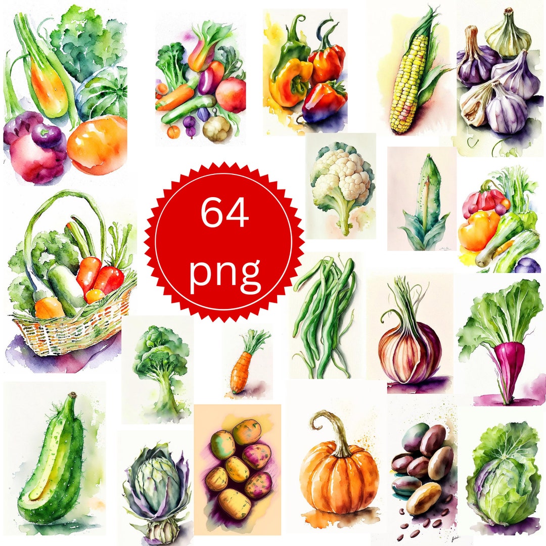 Watercolor Vegetables Clipart, 49 PNG Summer Vegetables Assorted ...