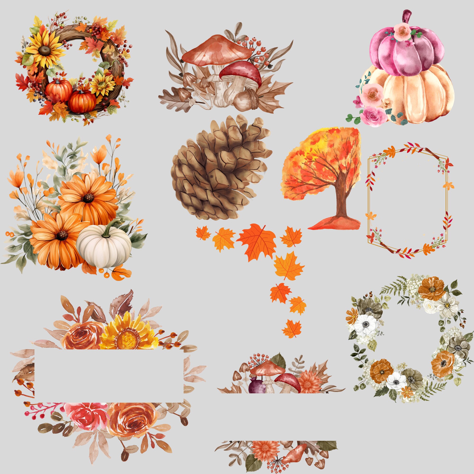 Watercolor Autumn Frames & Borders Clipart Fall Flowers Clip - Etsy