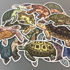 8 Turtle Sticker Pack, Sea Turtle Sticker, Tortoise Sticker, Journal ...