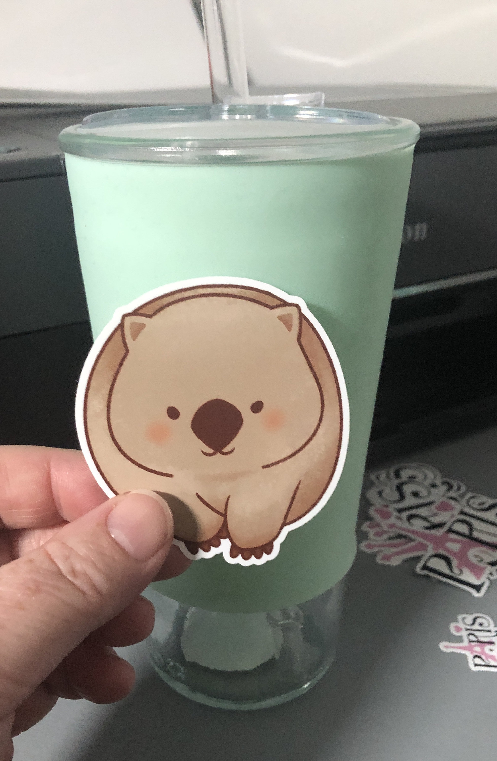 Wombat Sticker Chonky Wombat Cute Wombat Wombat Decal - Etsy