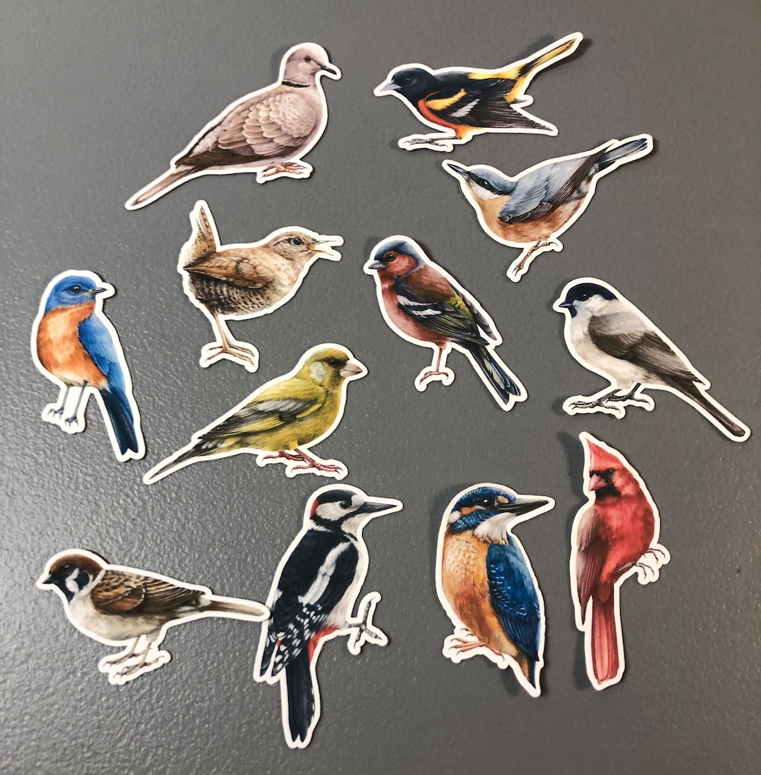 12 Assorted Bird Stickers, Bird Sticker Pack, Bird Decal, Bird Gift ...