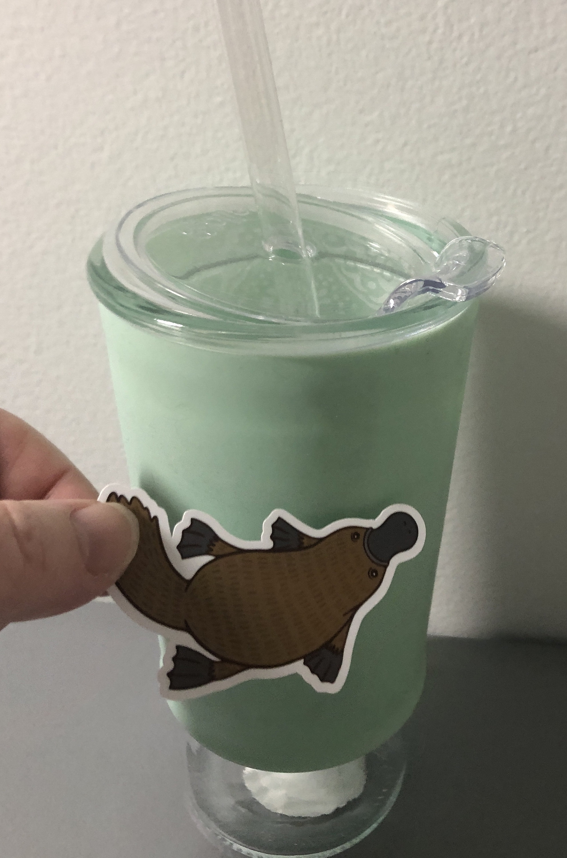 Platypus Vinyl Sticker, Waterproof Decal - Etsy