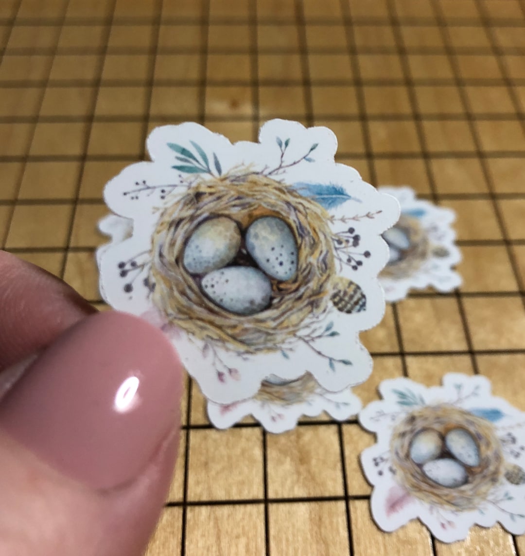 5 MINI Nest Stickers, Nest Decal, Boho Owl, Bird Nest Sticker, Boho ...