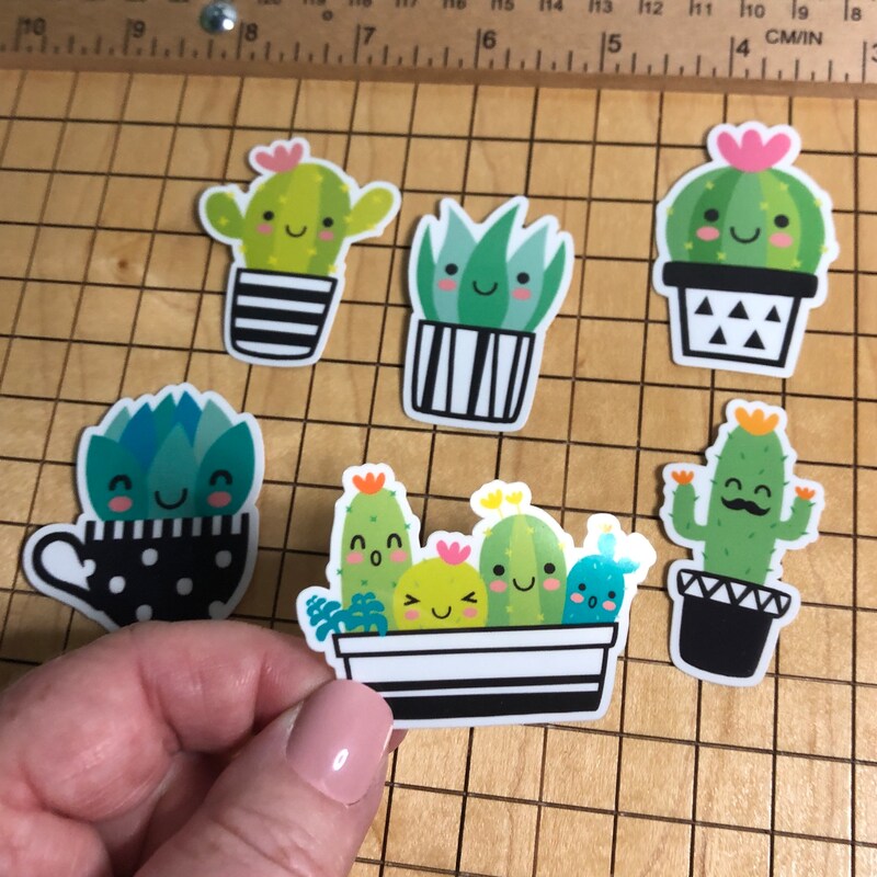Cactus Decal - Etsy