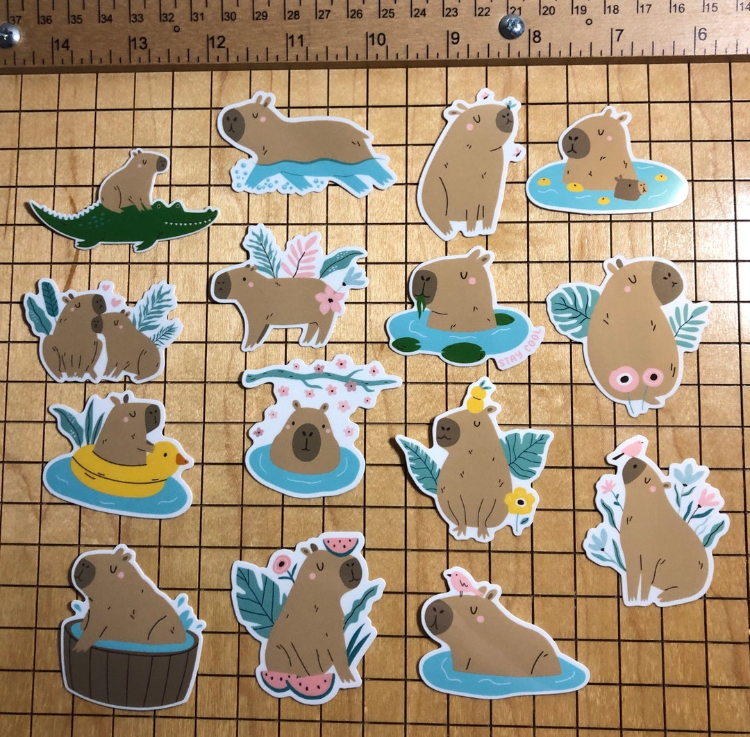 15 Capybara Stickers, Sticker Pack, Capybara Gift, Capybara Decal ...