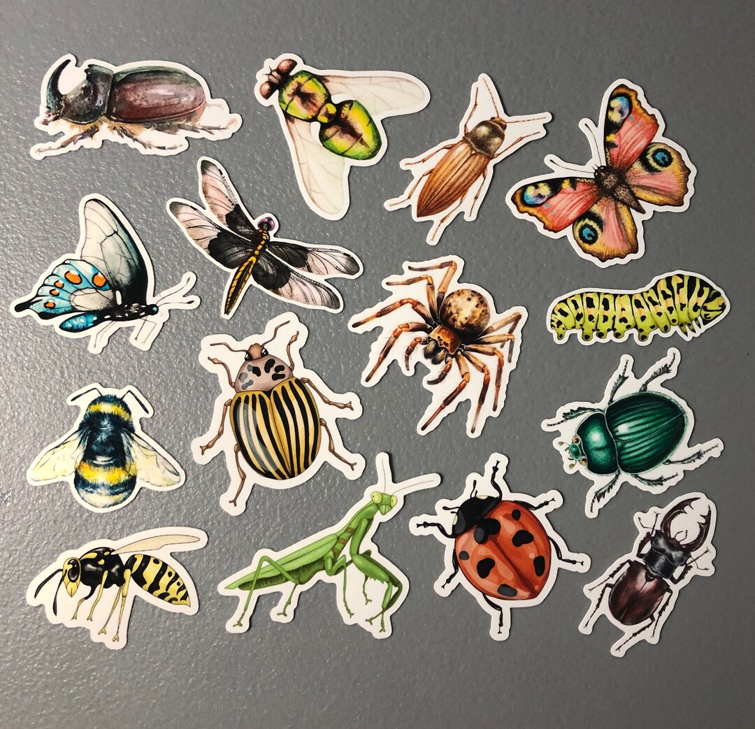 15 Insect Stickers, Sticker Pack, Bug Stickers, Spider Stickers, Beetle ...