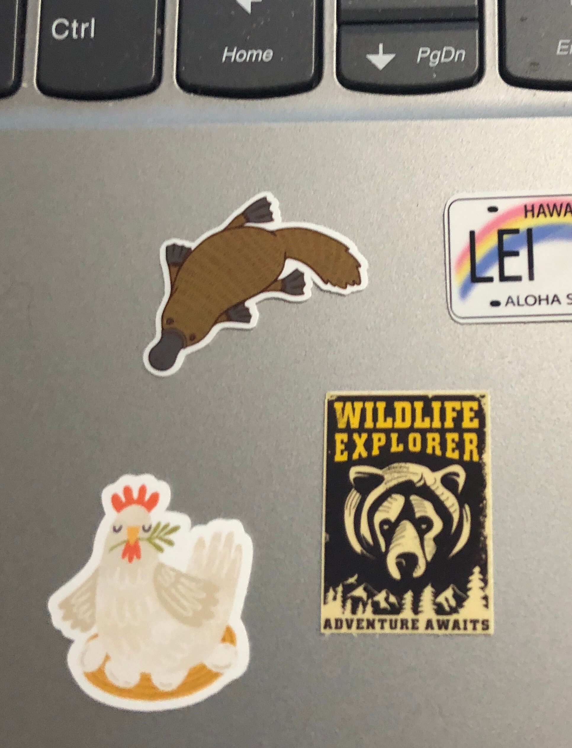 5 MINI Wildlife Stickers, Wildlife Decal, Tiny Stickers, Camping ...