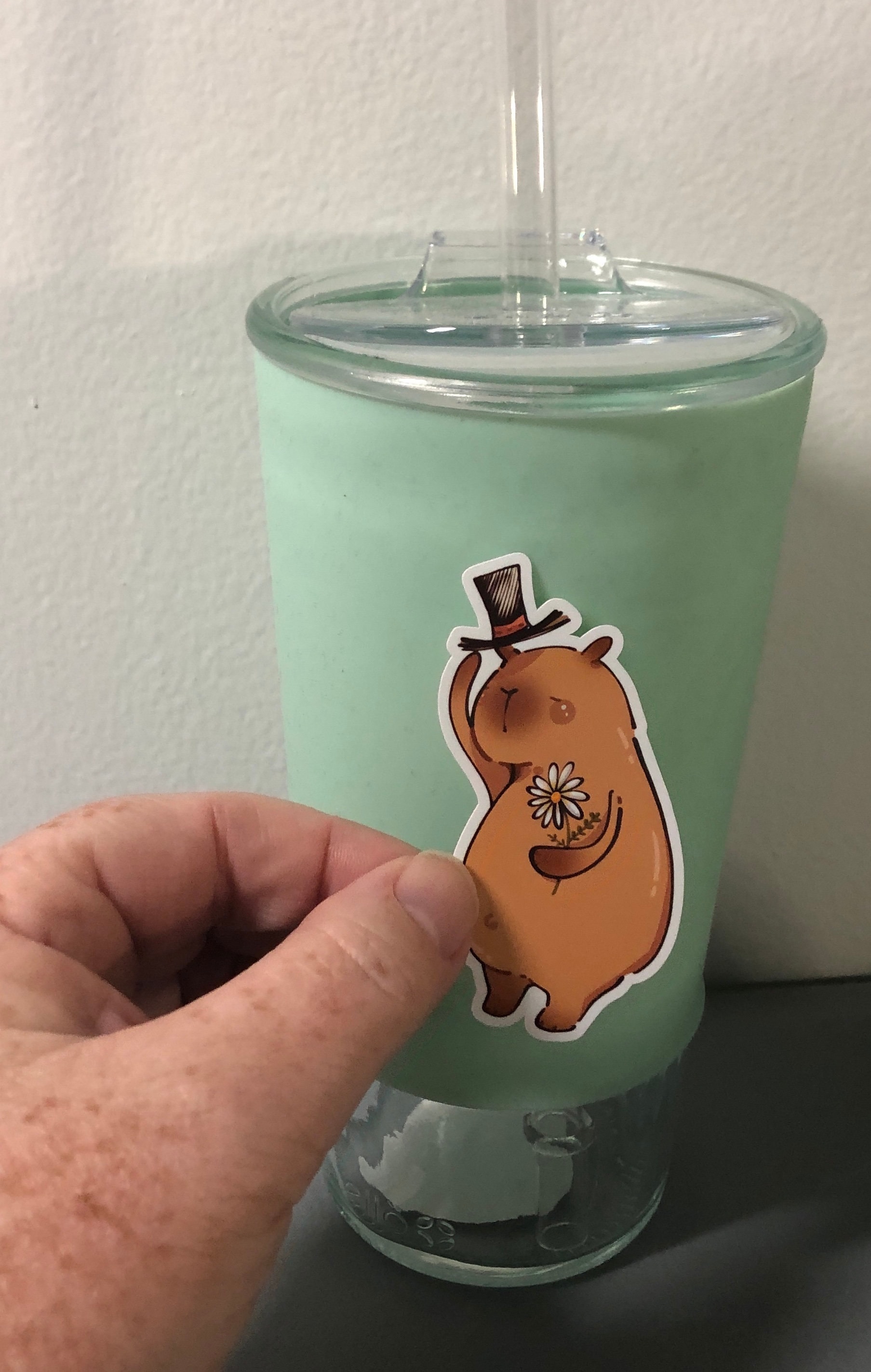 Capybara Sticker Boyfriend Sticker Capybara Decal Capybara - Etsy