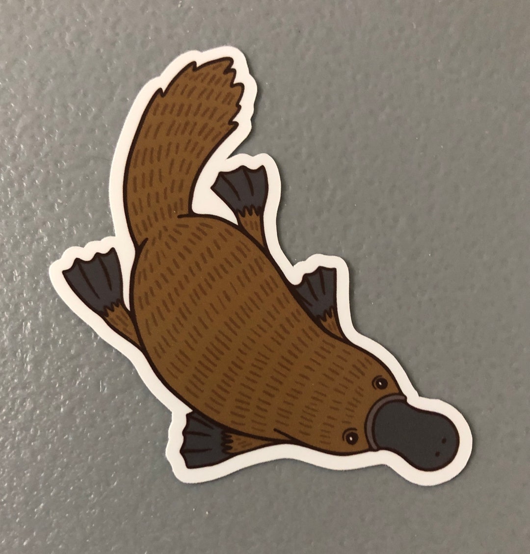Platypus Vinyl Sticker, Waterproof Decal - Etsy