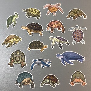 8 Turtle Sticker Pack, Sea Turtle Sticker, Tortoise Sticker, Journal ...
