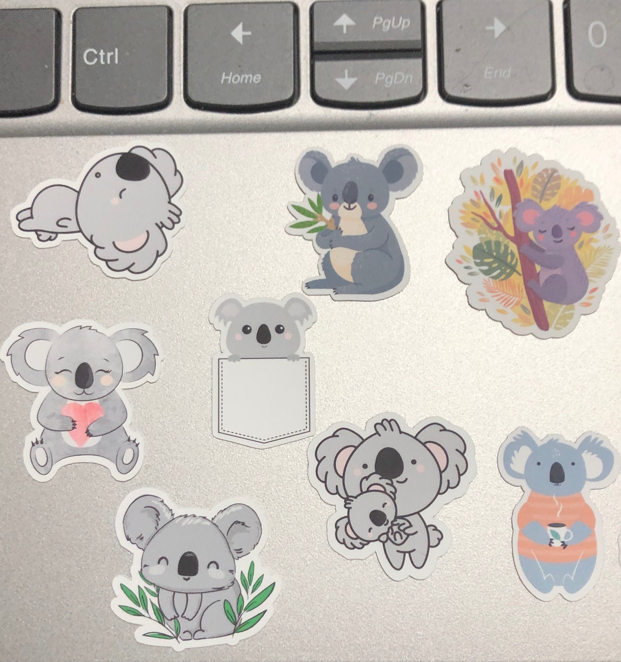 8 MINI Koala Sticker Pack Koala Decal Koala Gift Koala - Etsy