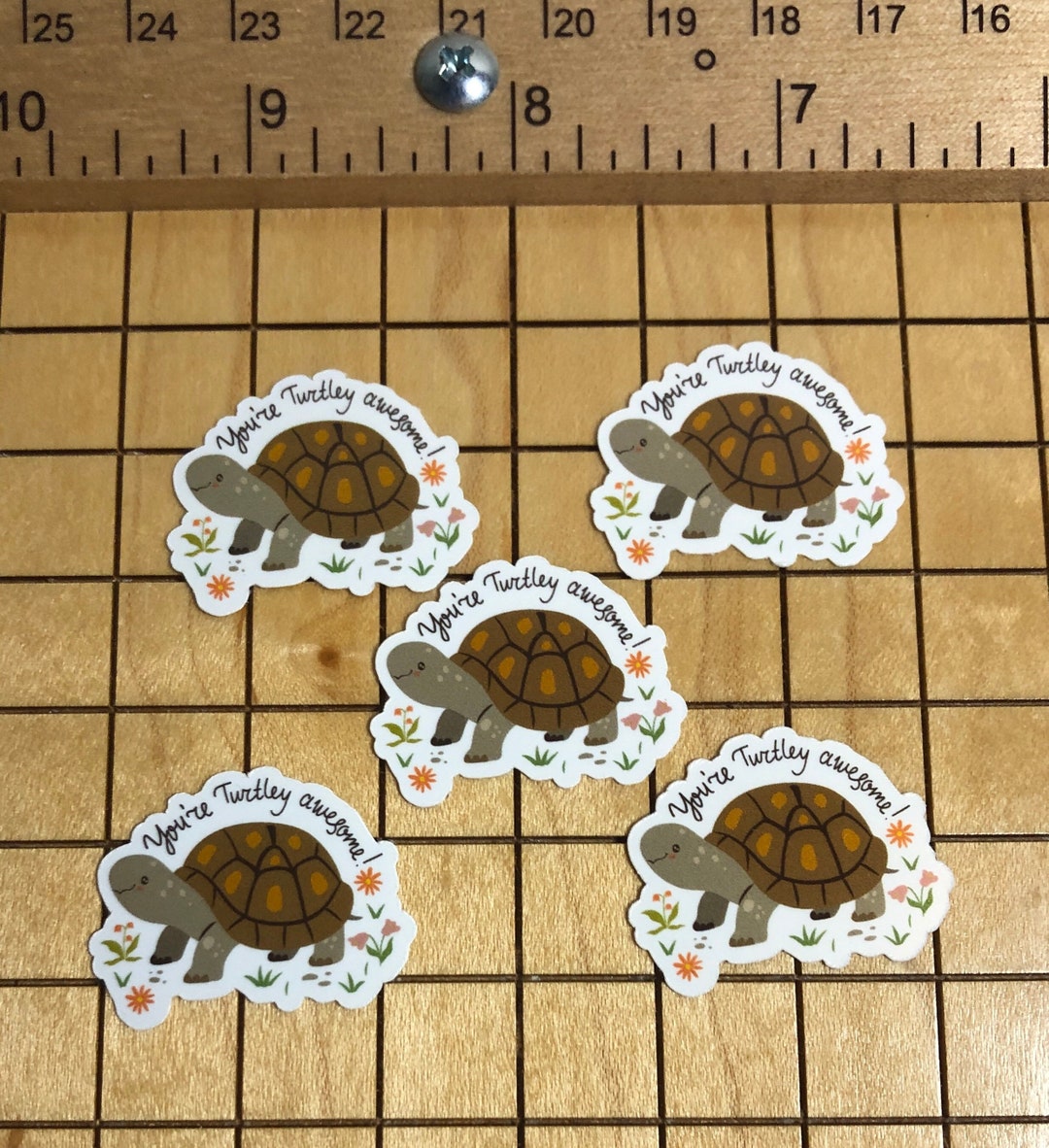 5 MINI Turtle Stickers, Turtle Decal, You're Turtley Awesome, Vinyl ...