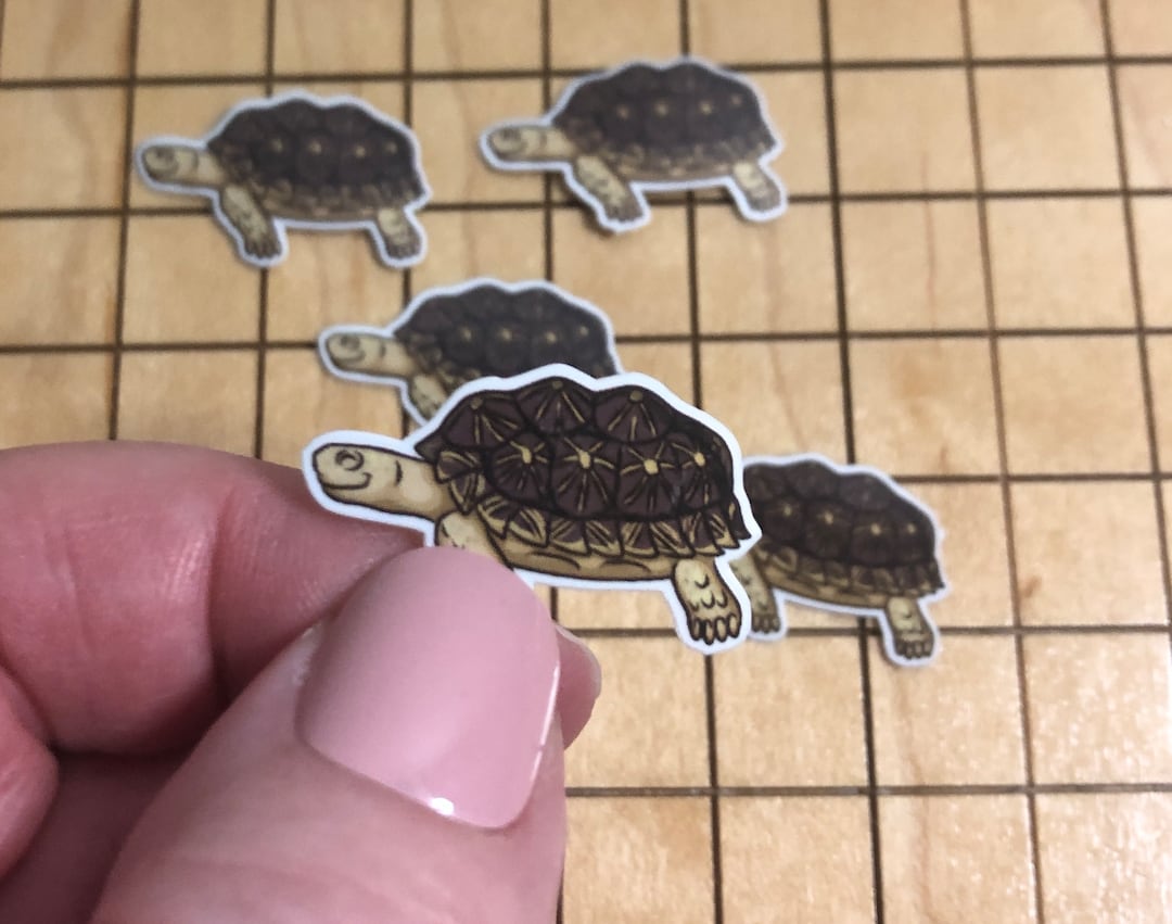 5 MINI Turtle Stickers, Turtle Decal, Tortoise Sticker, Waterproof ...