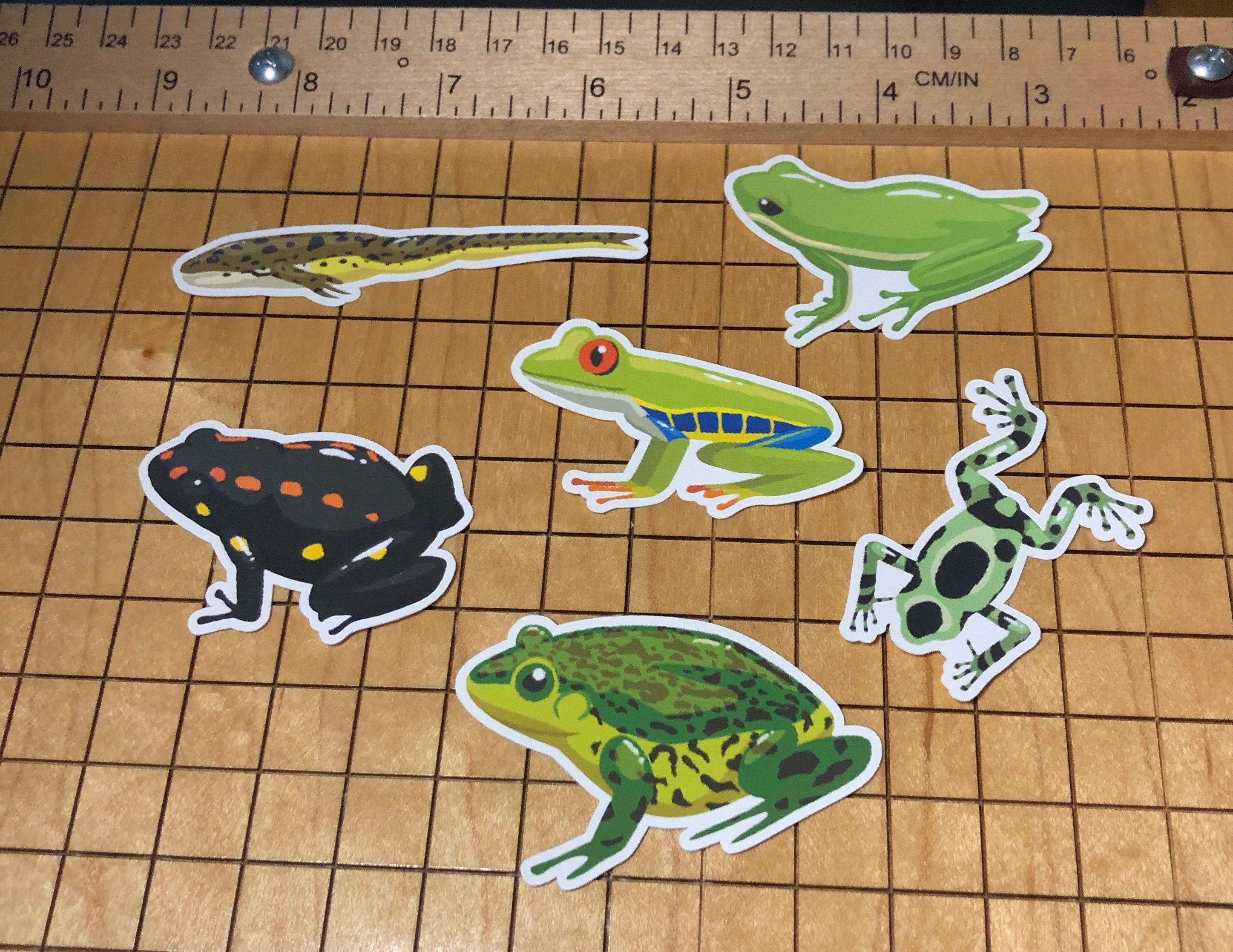 9 Frog Stickers, Sticker Pack, Frog Decals, Frog Gift, Laptop Decal ...