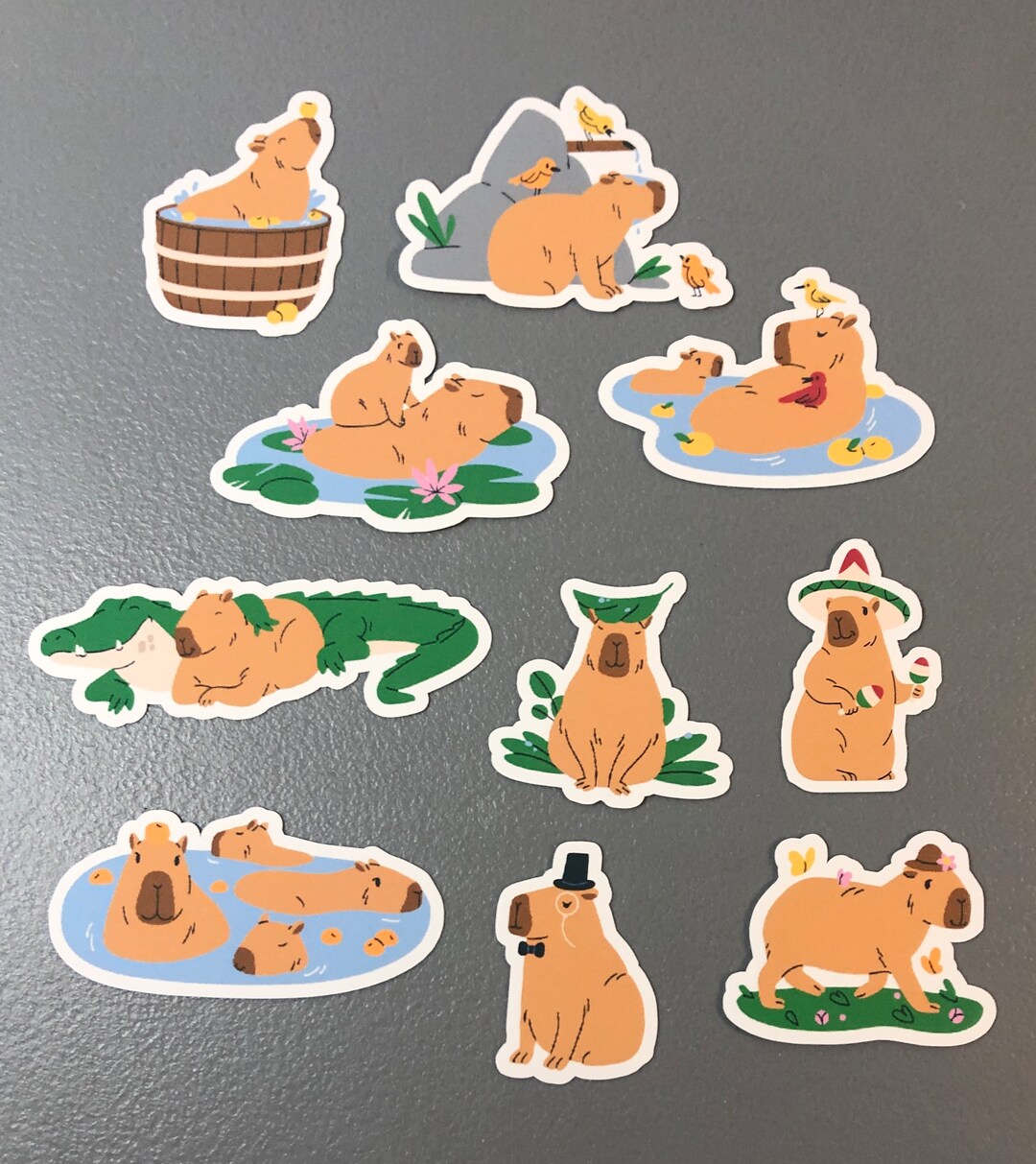 10 Capybara Sticker Pack Capybara Gift Capybara Decal Phone - Etsy