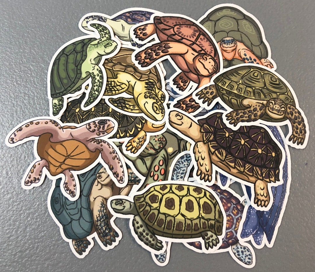 8 Turtle Sticker Pack, Sea Turtle Sticker, Tortoise Sticker, Journal ...