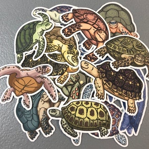 8 Turtle Sticker Pack, Sea Turtle Sticker, Tortoise Sticker, Journal ...