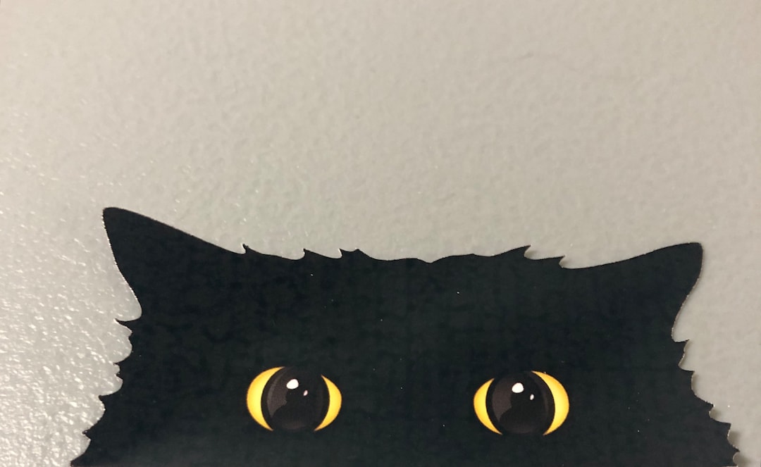 Cat Sticker, Black Cat, Staring Cat Sticker, Funny Cat, Cat Eyes ...