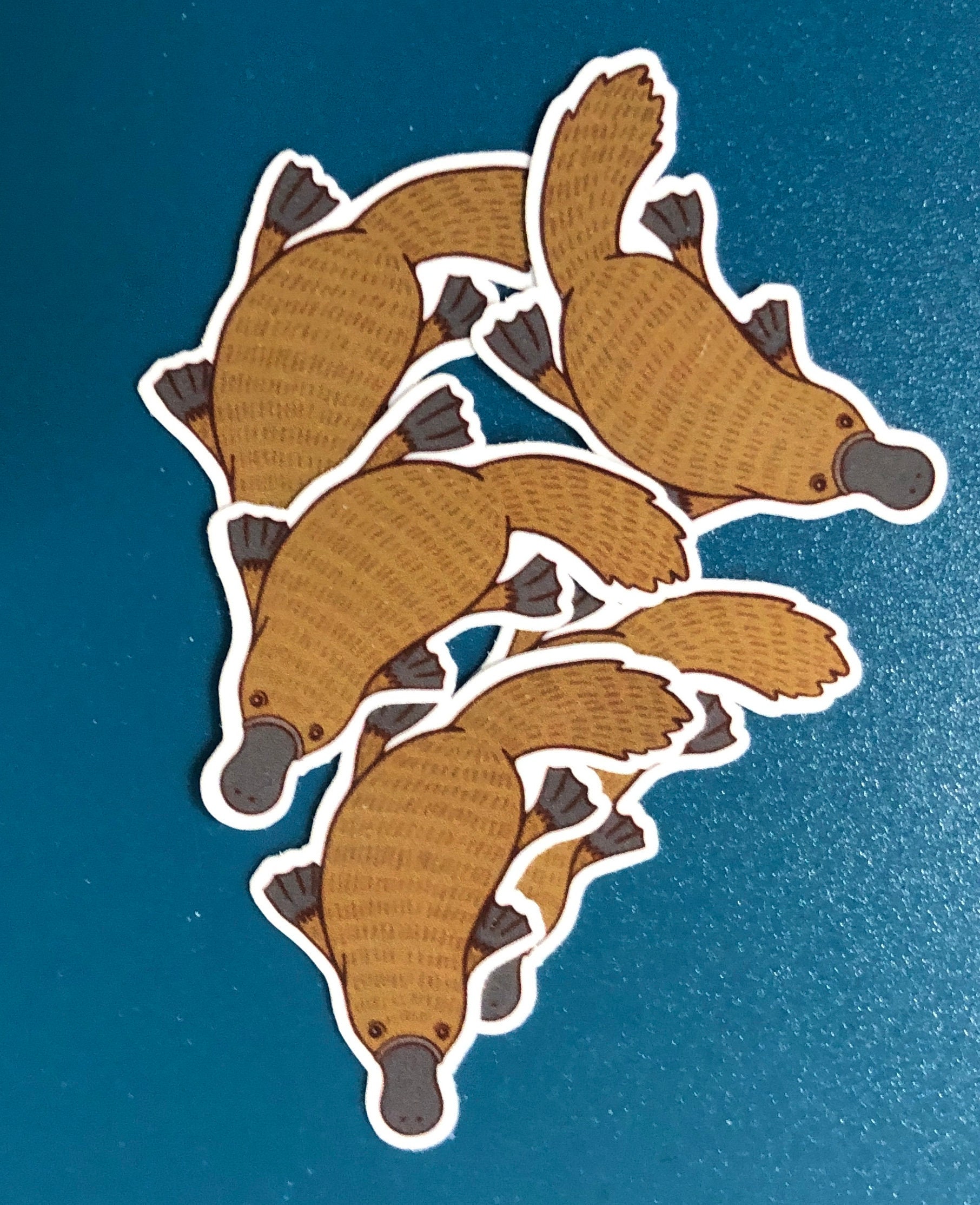 5 MINI Platypus Stickers Platypus Decal Mini Stickers Small - Etsy