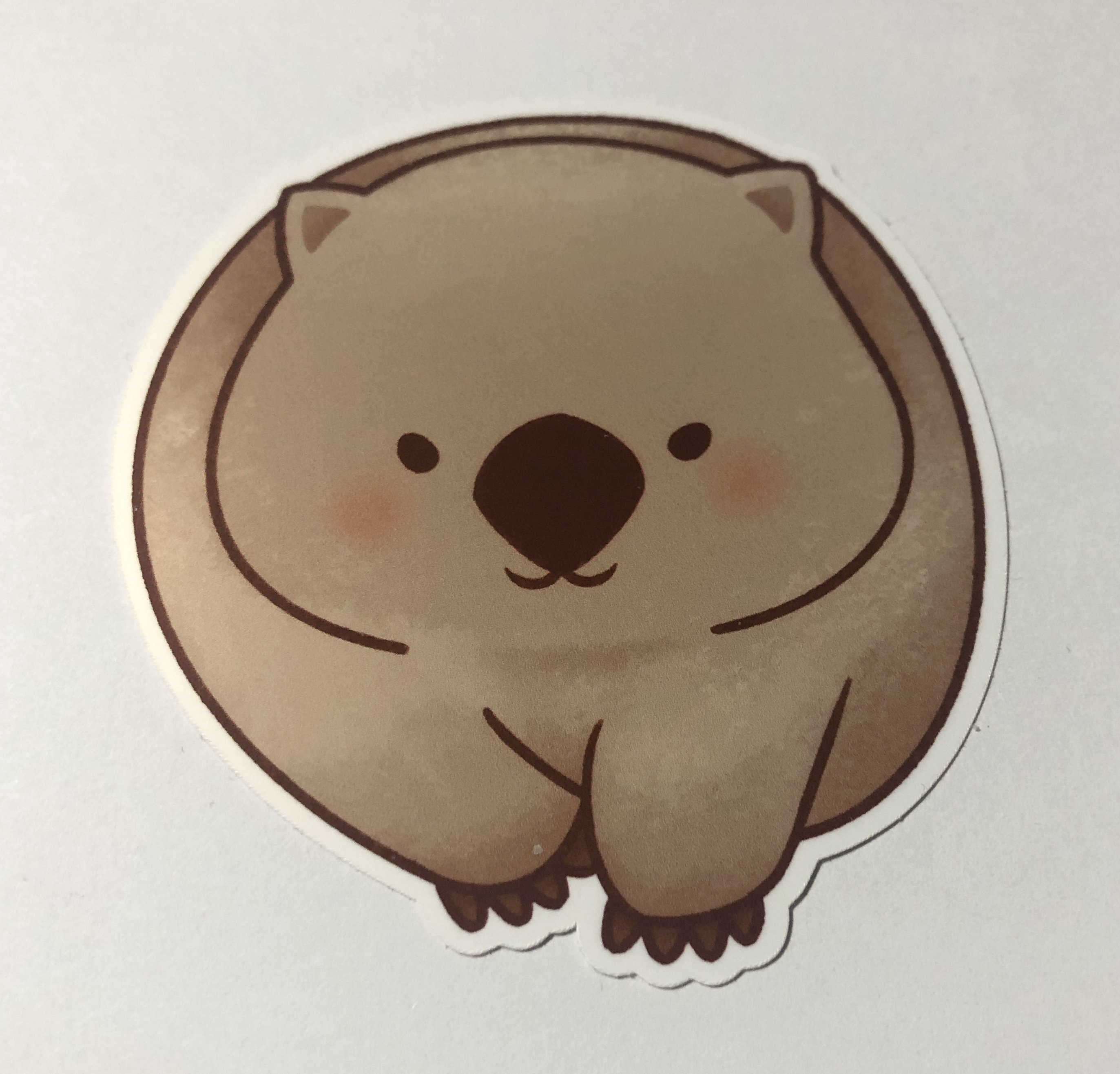 Wombat Sticker Chonky Wombat Cute Wombat Wombat Decal - Etsy
