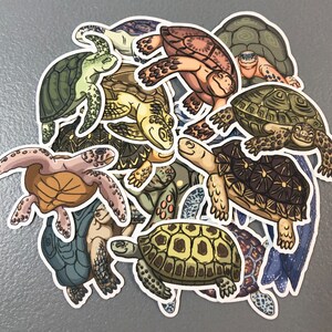 8 Turtle Sticker Pack, Sea Turtle Sticker, Tortoise Sticker, Journal ...