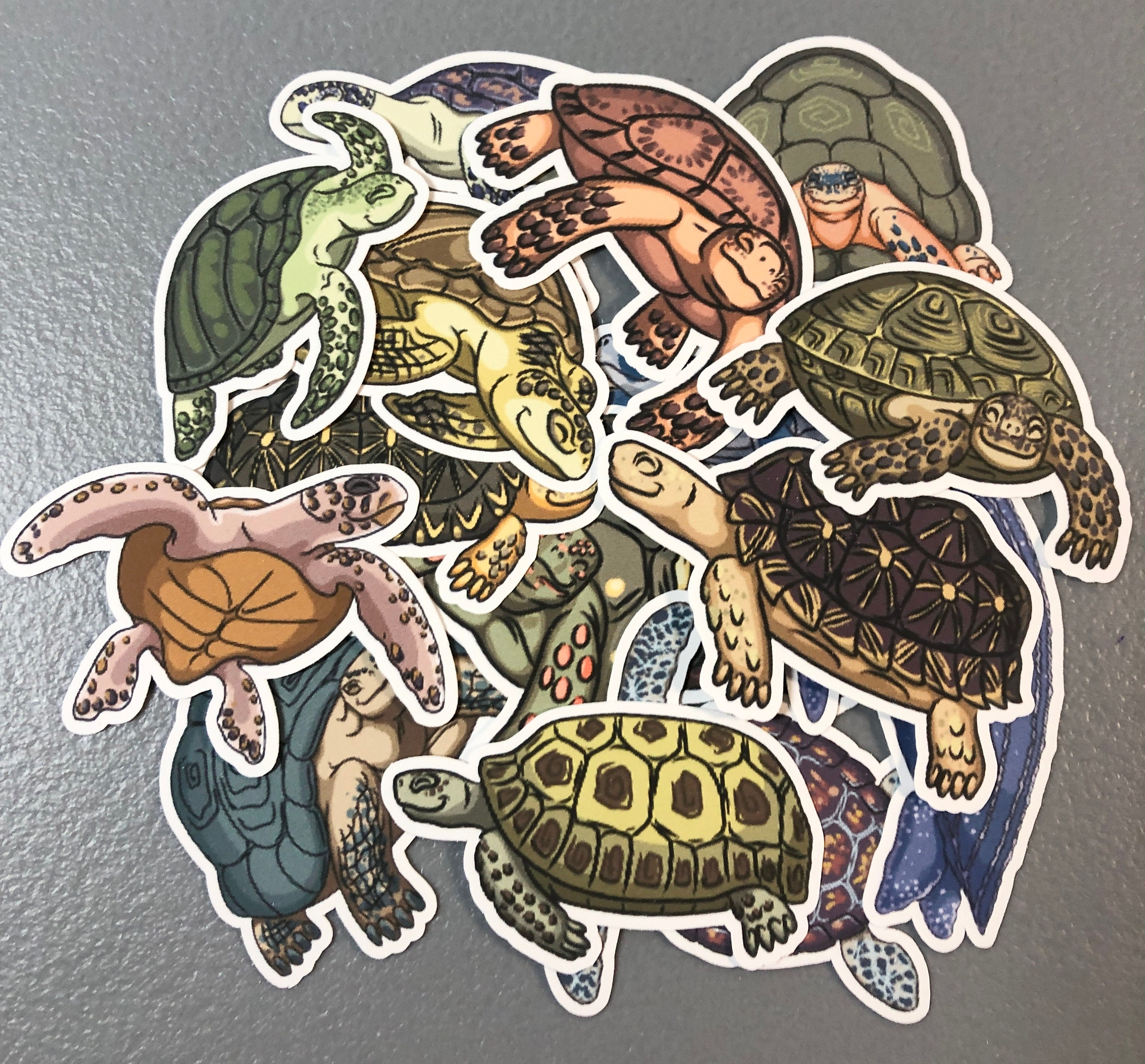 8 Turtle Sticker Pack, Sea Turtle Sticker, Tortoise Sticker, Journal ...