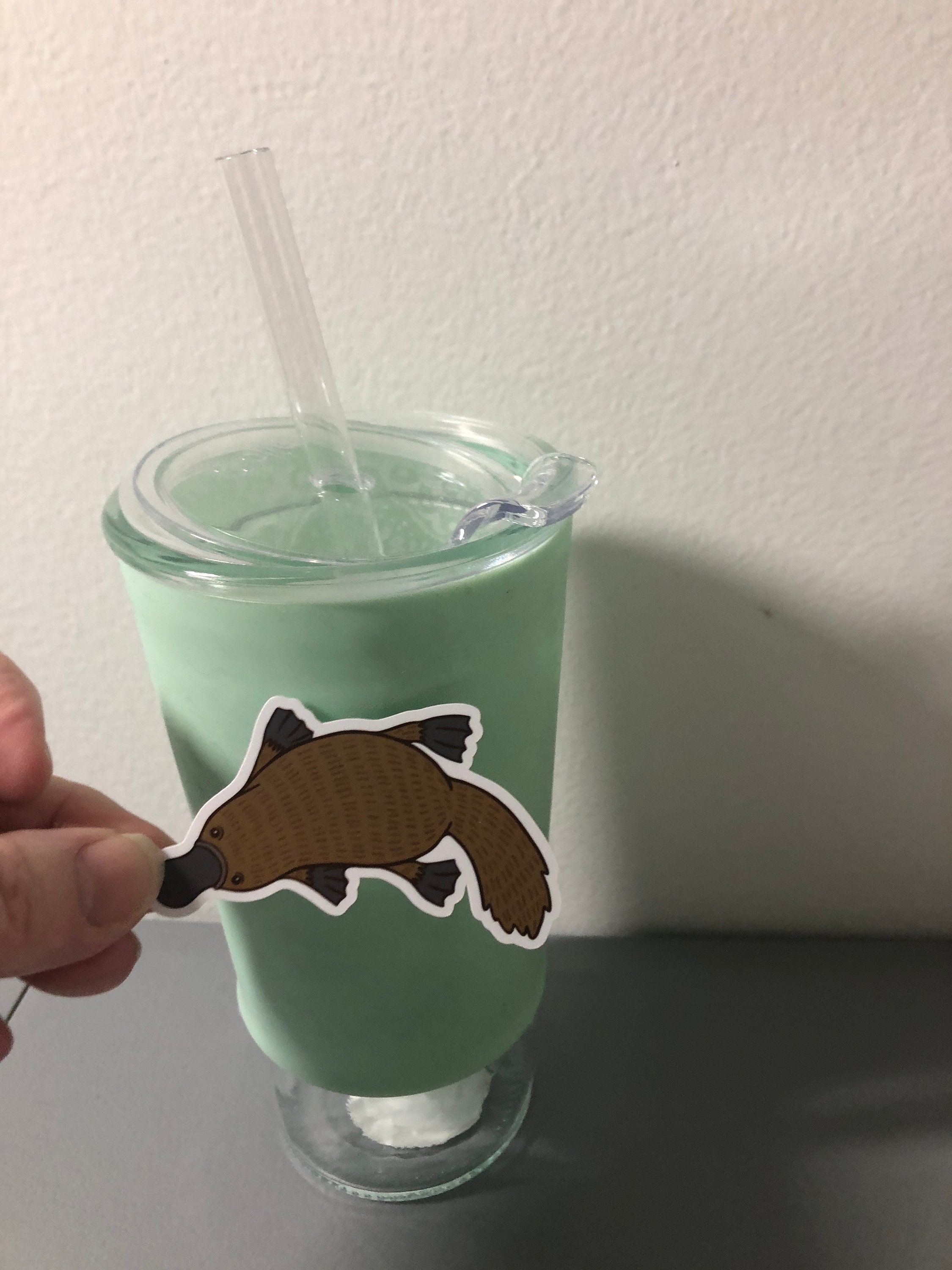 Platypus Vinyl Sticker, Waterproof Decal - Etsy