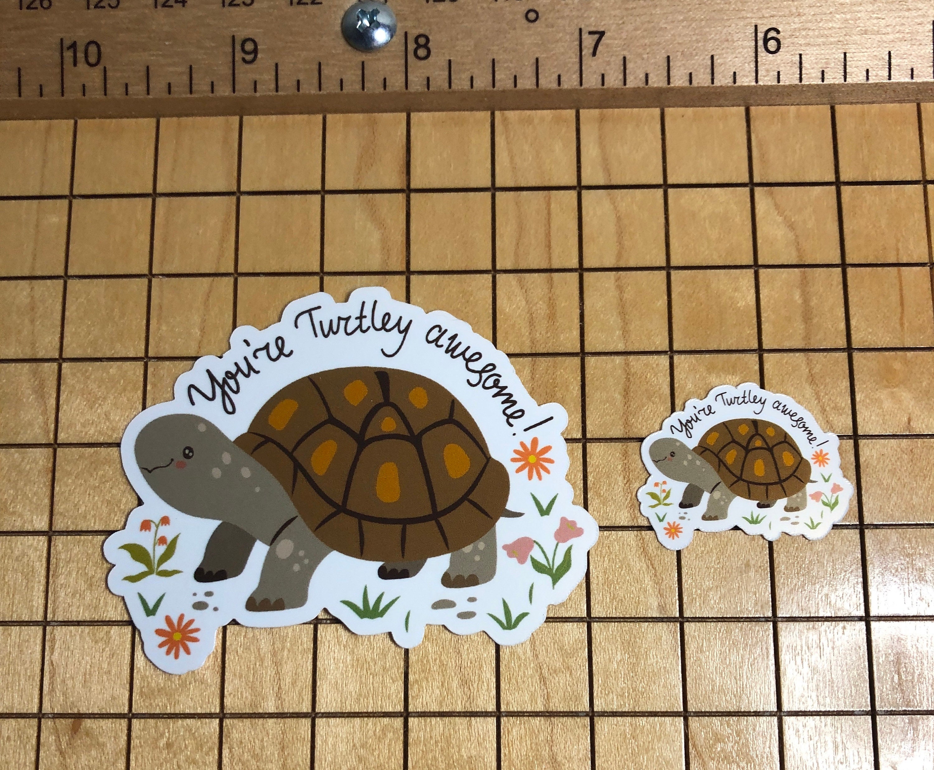 5 MINI Turtle Stickers Turtle Decal You're Turtly - Etsy