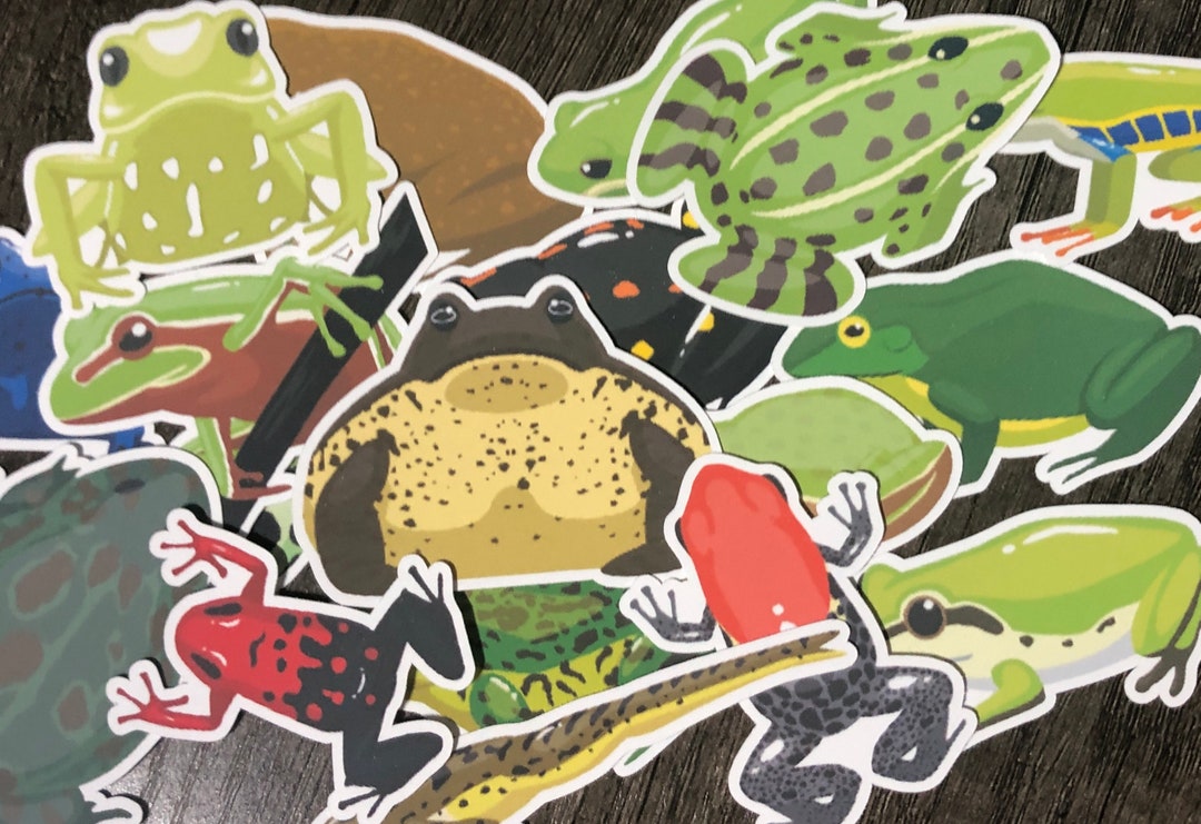 9 Frog Stickers, Sticker Pack, Frog Decals, Frog Gift, Laptop Decal ...