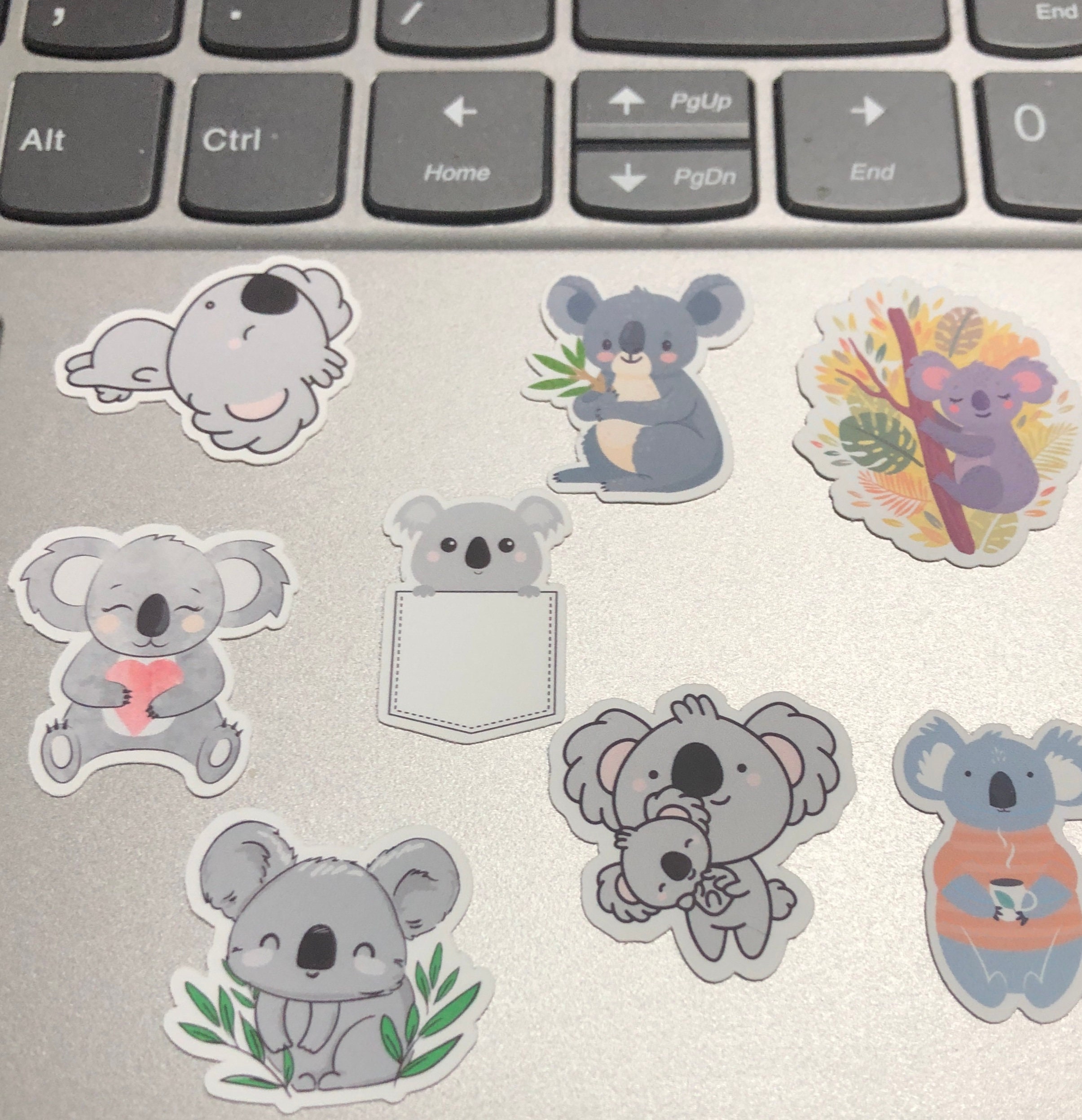 8 MINI Koala Sticker Pack Koala Decal Koala Gift Koala - Etsy