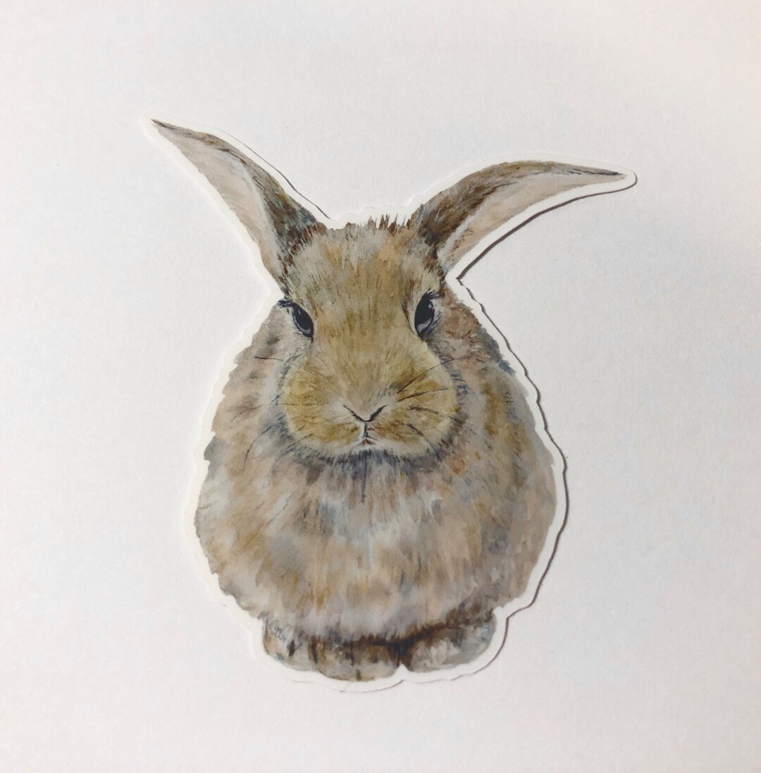 Bunny Sticker, Rabbit Sticker, Cute Rabbit, Laptop Decal, Tumbler Decal ...