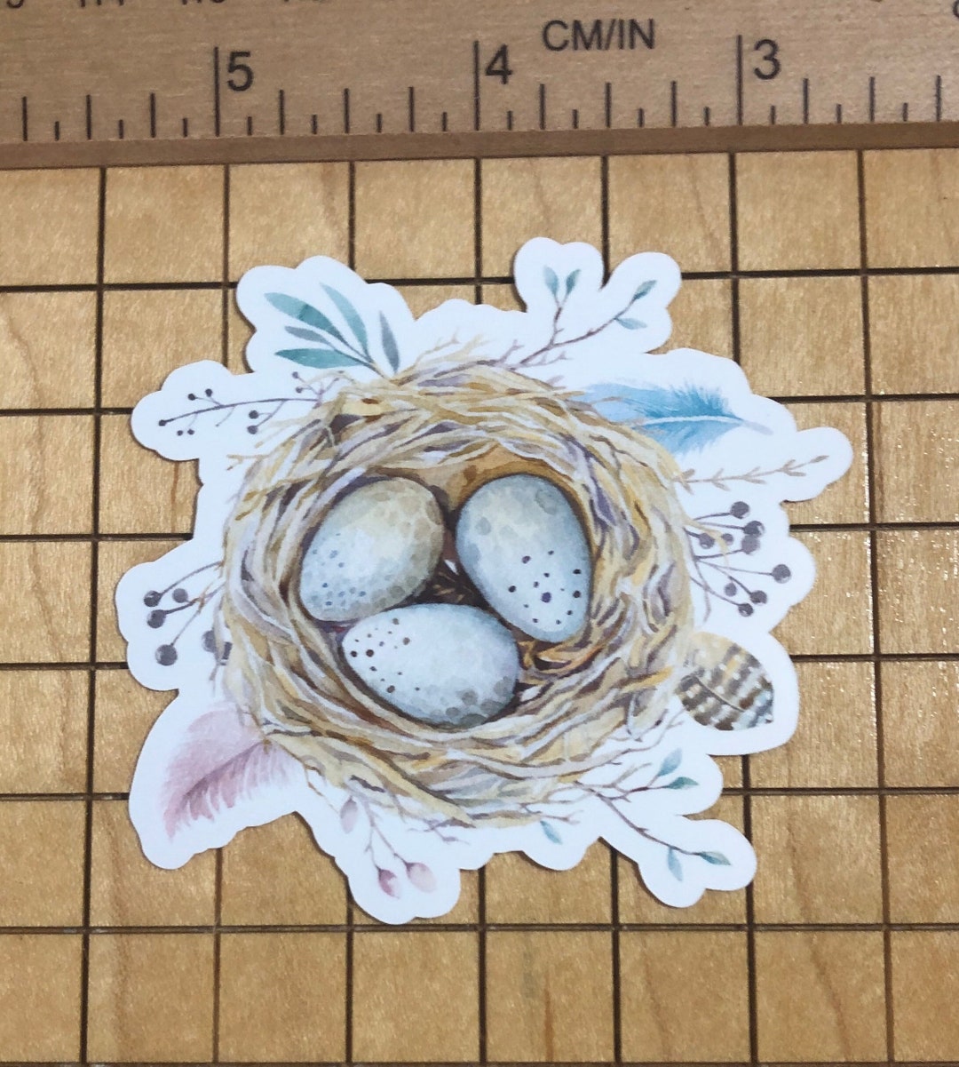 Bird Nest Sticker, Bird Sticker, Nest Decal, Boho Sticker, Boho Decal ...