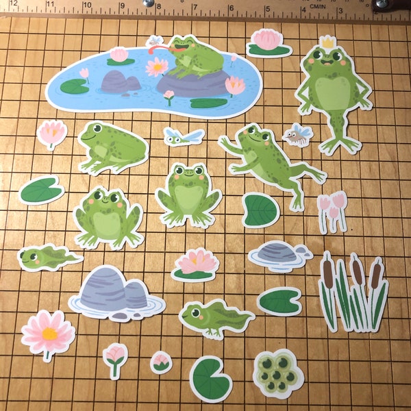 Frog Life Cycle - Etsy