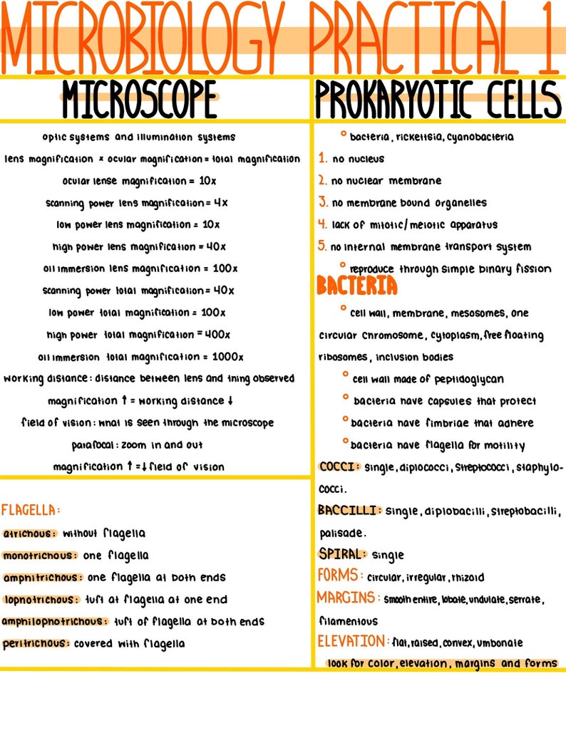 Microbiology Lab Unit 1 - Etsy