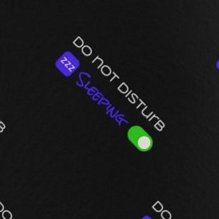 Do Not Disturb Sleeping Mode Hooded Sherpa Fleece Blanket - Etsy