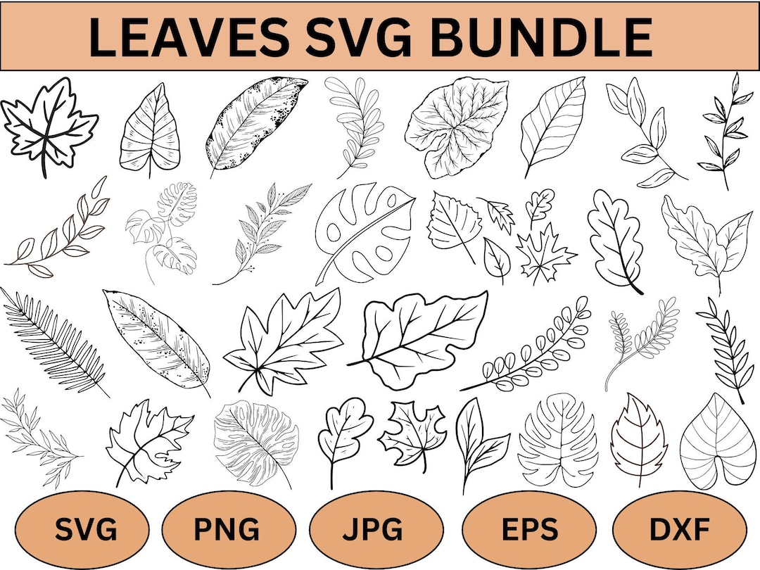 Leaves SVG Bundle,tropical Leaves Svg Bundle,hand Drawn Leave Svg ...