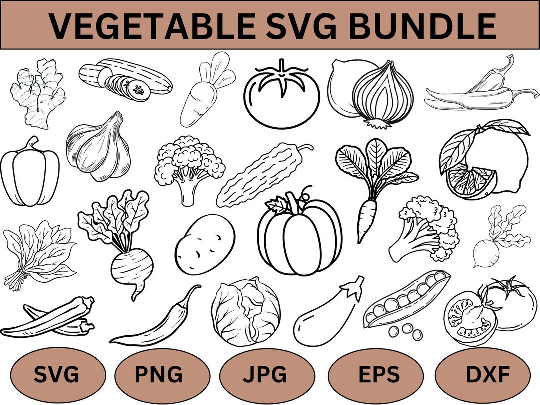 Vegetables Svg,fruit & Vegetable Svg Png Jpeg Bundle Illustrations,hand ...