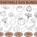 Vegetables SVG Bundle: Hand-drawn Food Illustrations (digital Download ...