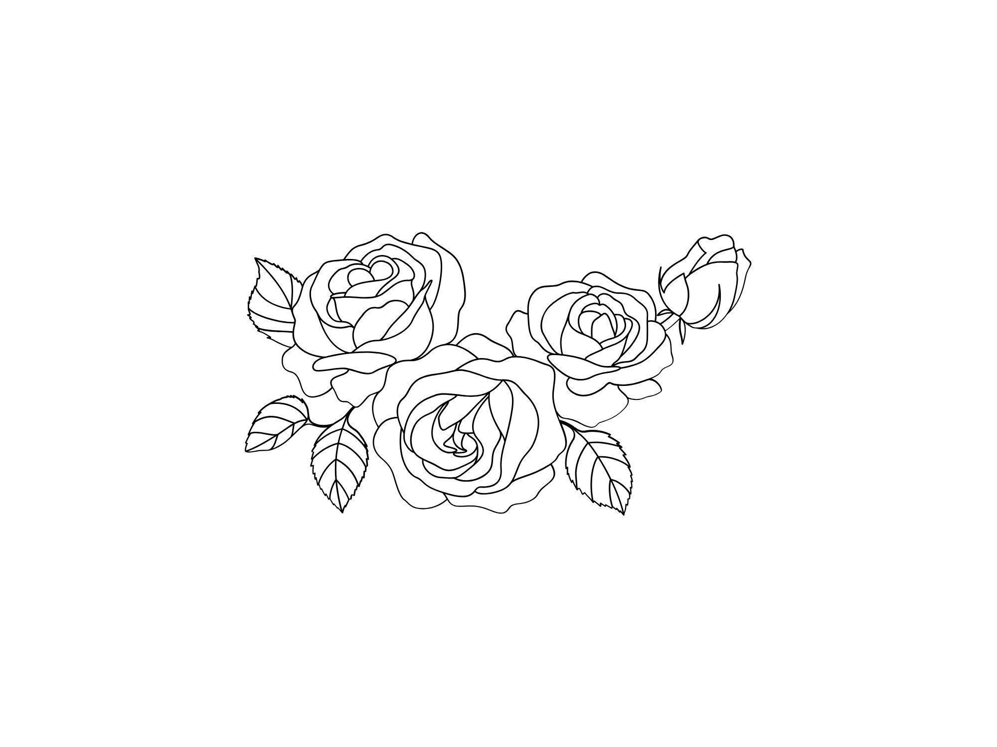 Rose Outline SVG Bundle: Flower Vectors, Cricut Cut File (digital ...