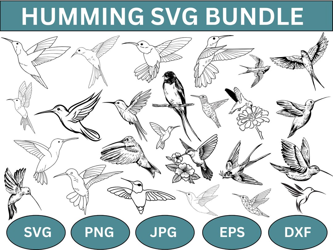 Hummingbird Svg Bundle,bird Clipart Image,cut Files for Cricut and ...