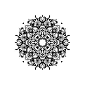 Mandala Svg,mandala Designs SVG and PNG Files Cricut Svg,sublimation ...