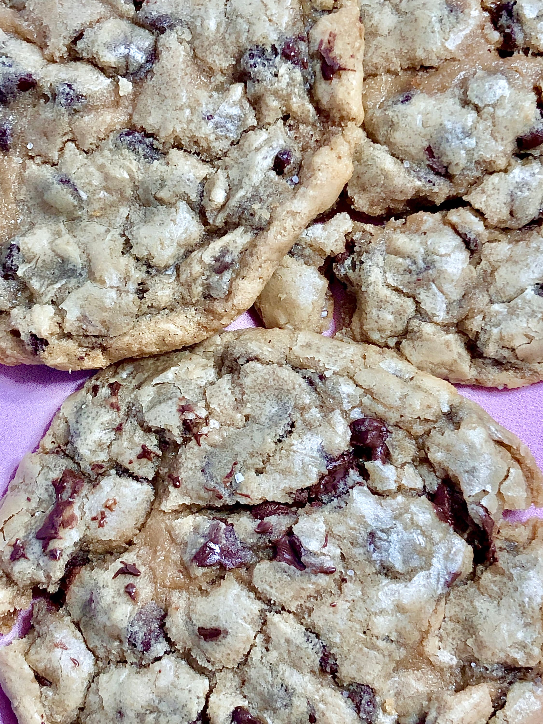 Chocolate Chip Cookie, Gourmet Chocolate Chip Cookie, Sugar Cookies ...