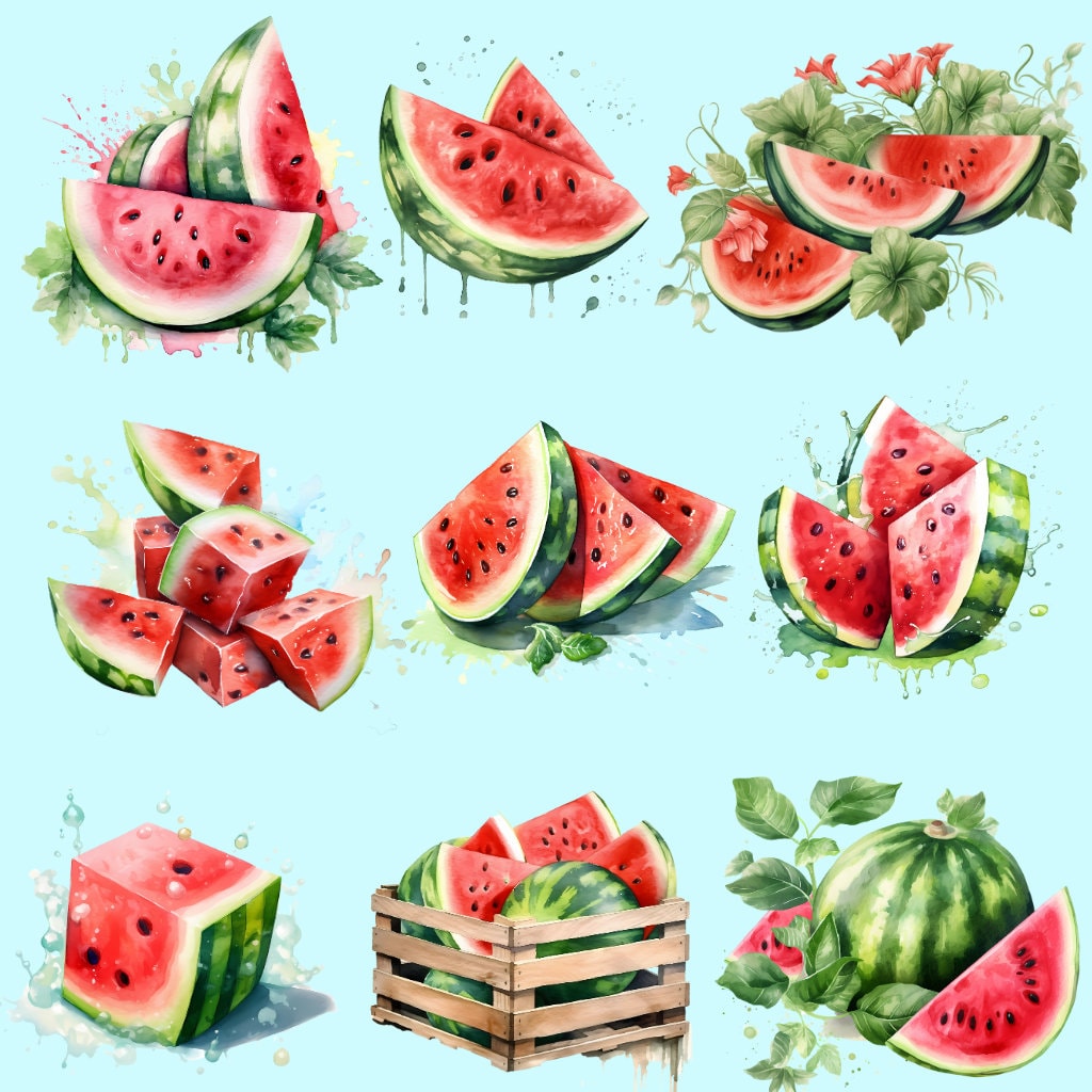 90 Watermelon Watercolor Clipart Bundle Collection Instantly - Etsy