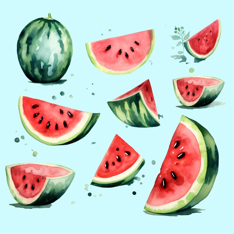 90 Watermelon Watercolor Clipart Bundle Collection - Instantly Download ...