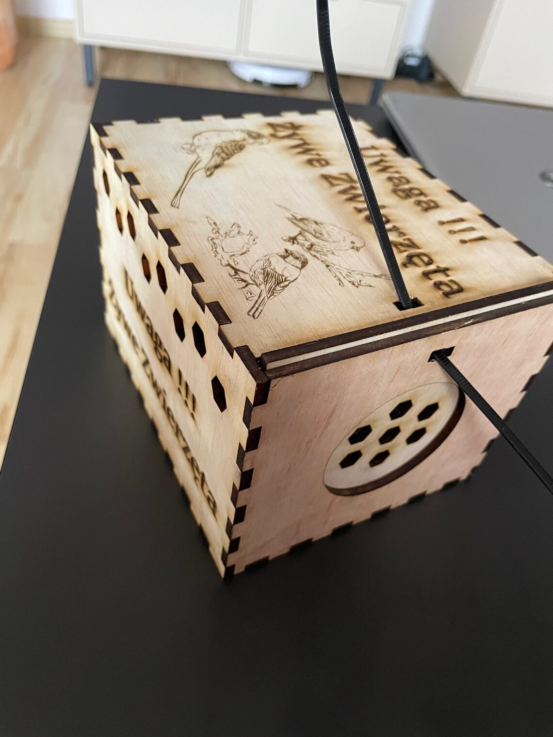 Bird Transporter, Transport Box Birds 150x120x120 Freight - Etsy