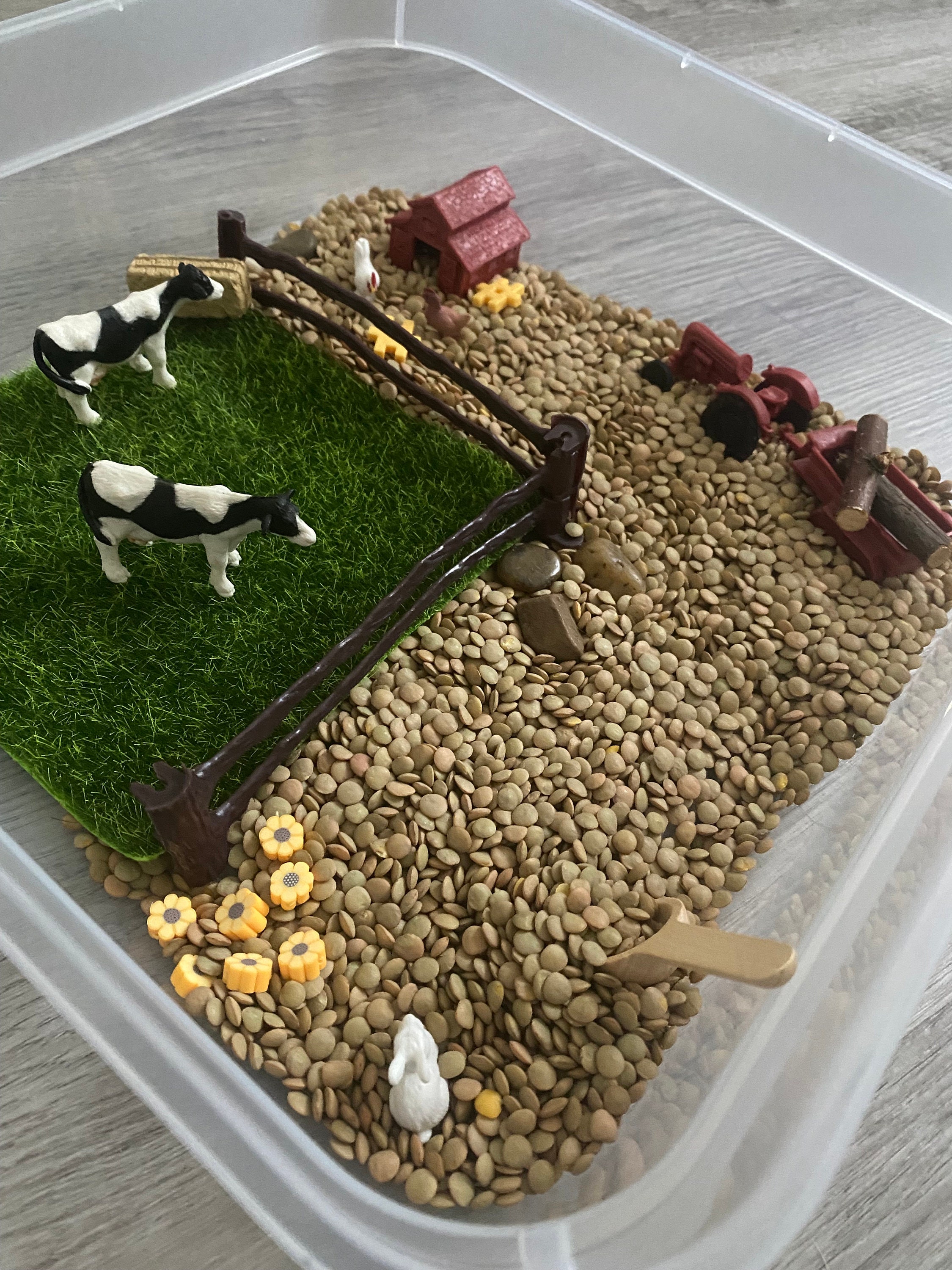 Farm Sensory Bin/ Farm Animal Bin/ Kids Sensory Bin - Etsy Australia