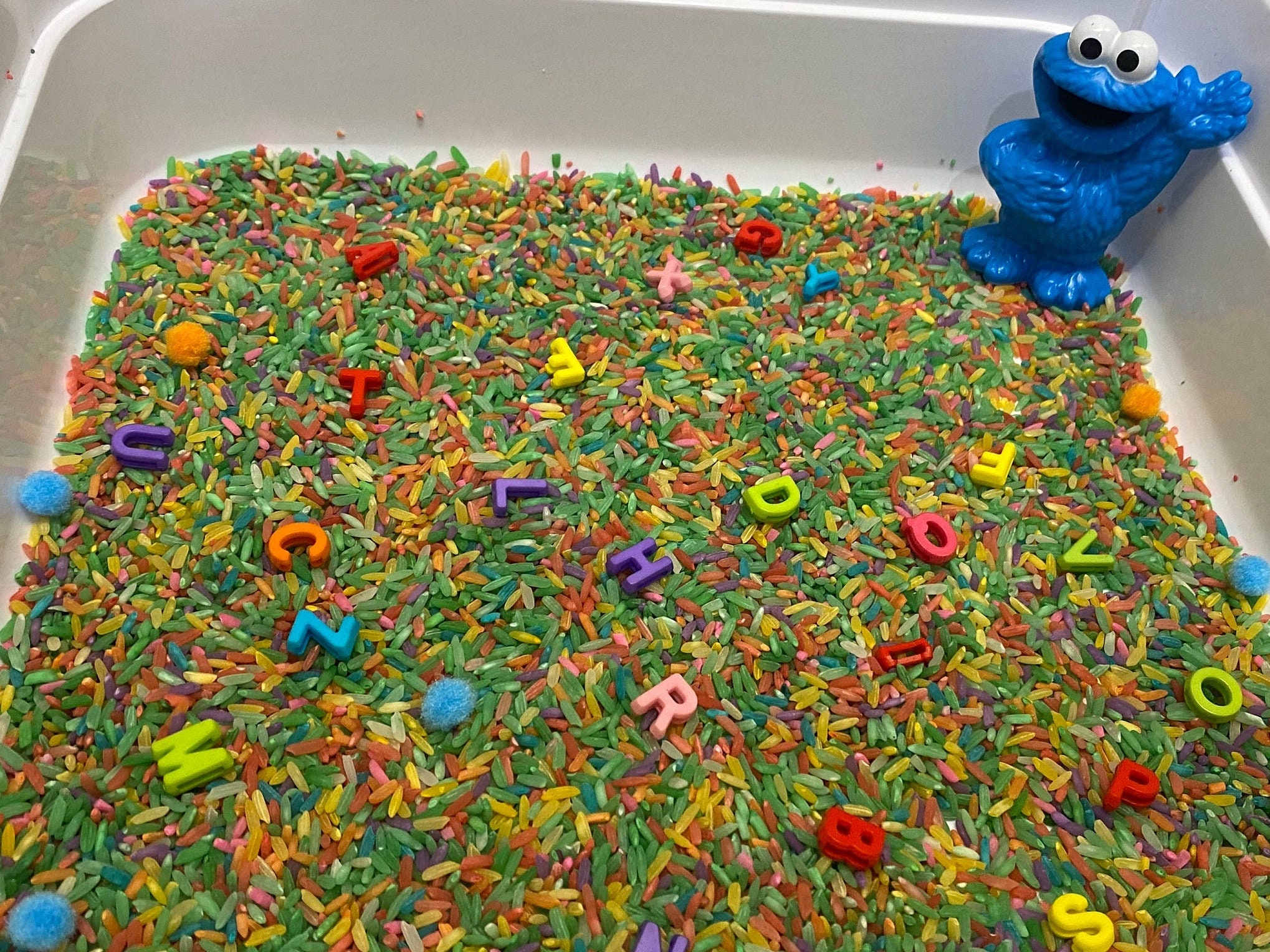 Sesame Street Sensory Bin/letters and Colors Sensory Bin/ Numbers ...